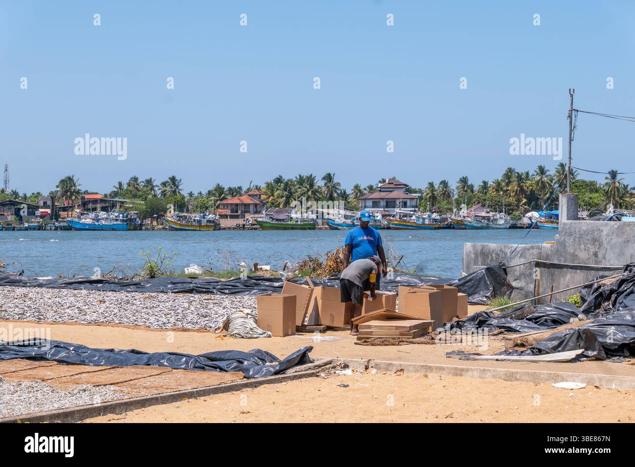 Negombo, Sri Lanka - March 20, 2025: fishermen at the beach of Negombo ...