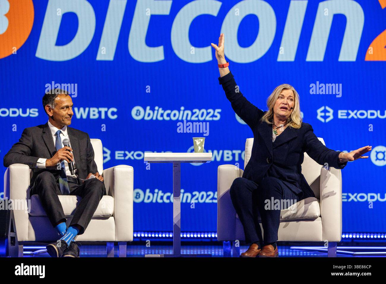 Cynthia Lummis, United States Senator from Wyoming, speaks at the ...