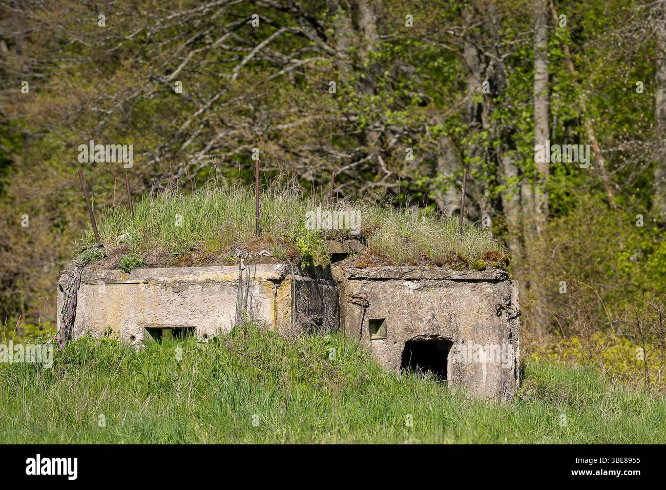 Military heritage from World War II. Second world war bunker on the ...