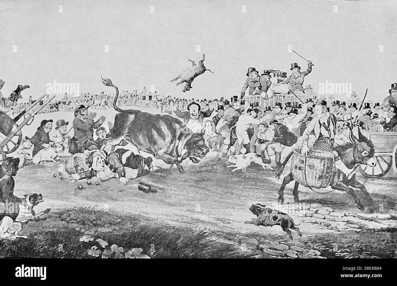 Charles bull Black and White Stock Photos & Images - Alamy