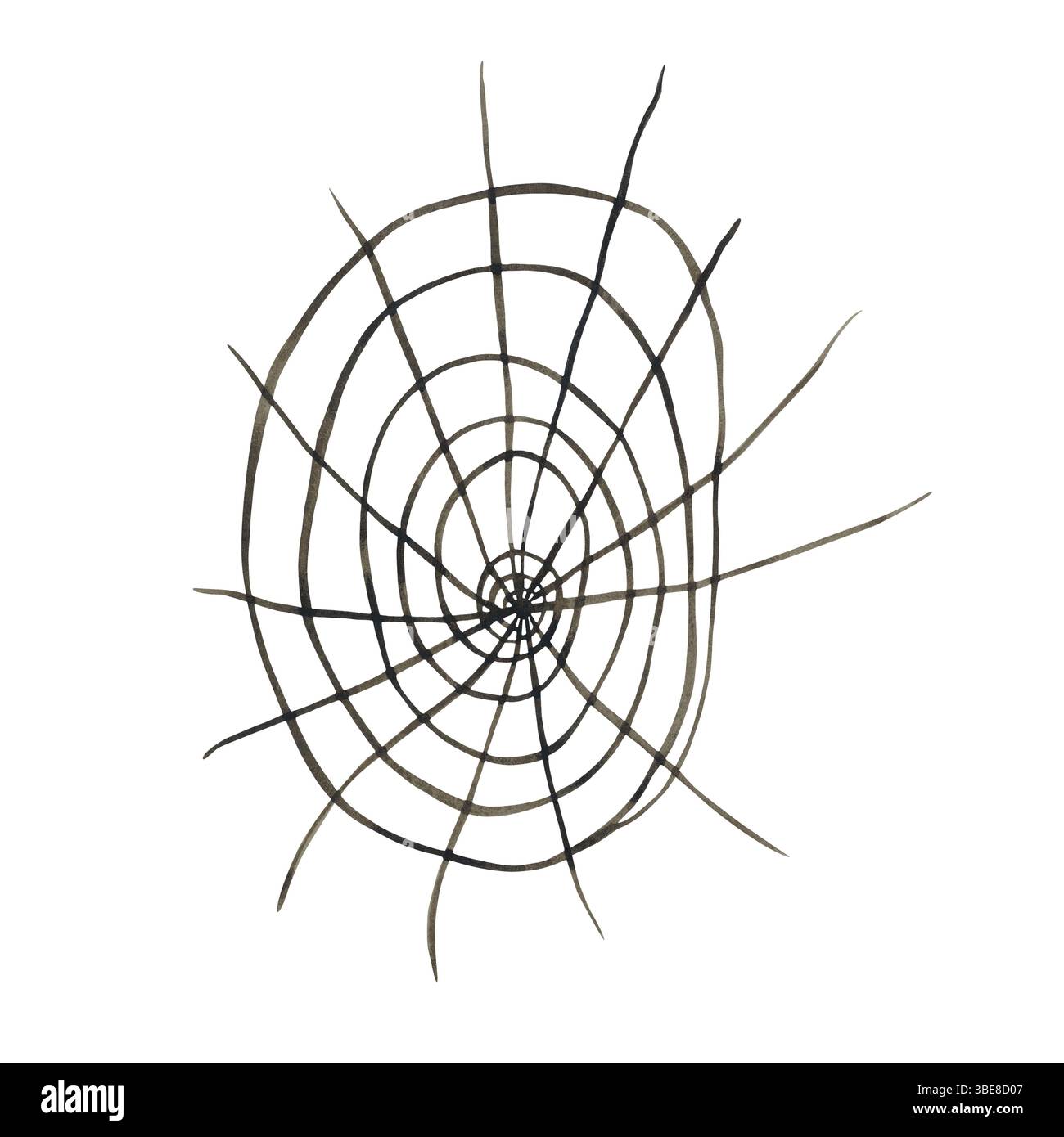 Spider on web colorful Cut Out Stock Images & Pictures - Alamy