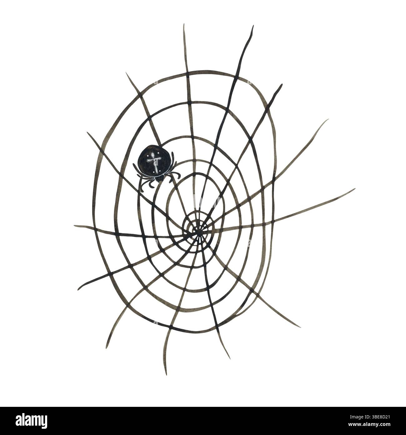 Black spider with white cross on its back sits in round web on white ...