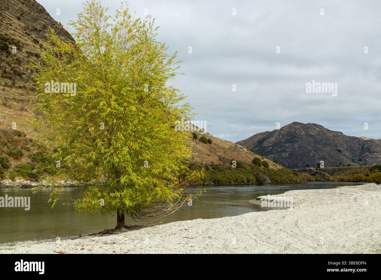 The Kawarau river near Queenstown, Otago, New Zealand Stock Photo - Alamy