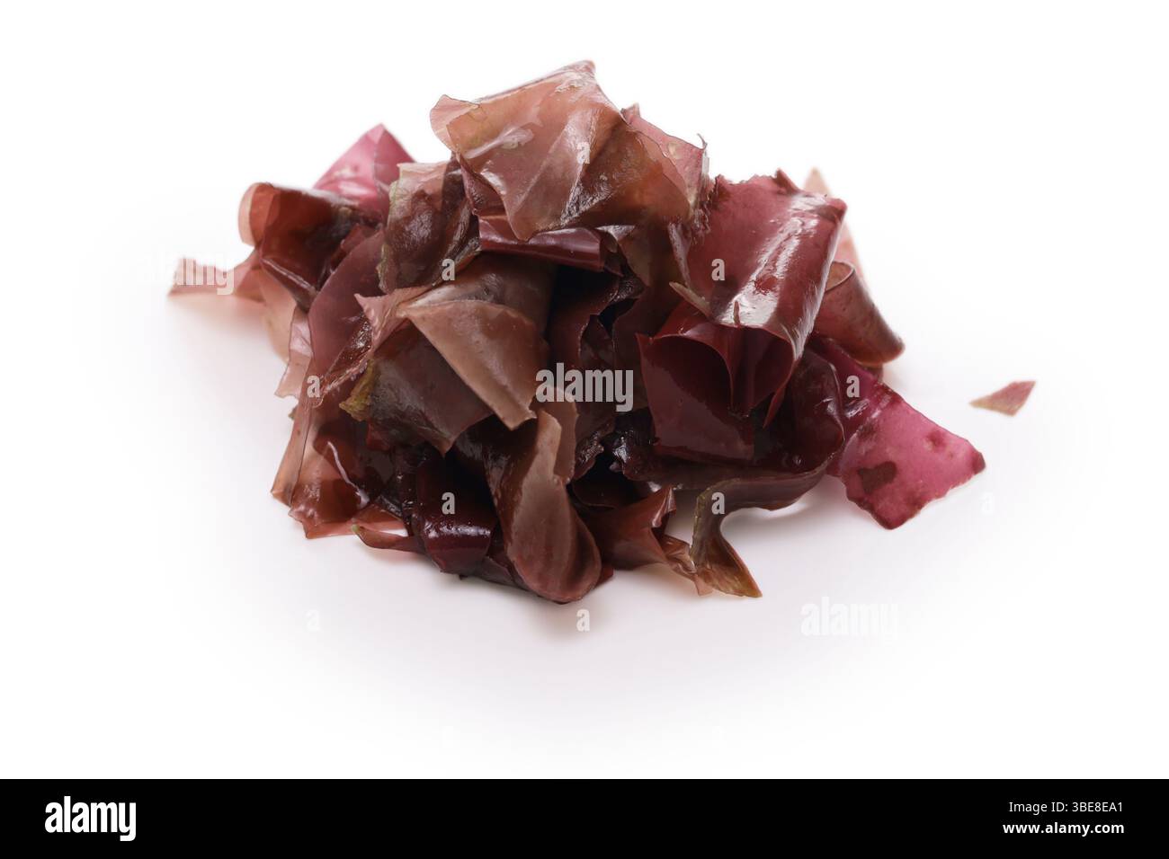 Dulse seaweed, Irish sea vegetable Stock Photo - Alamy