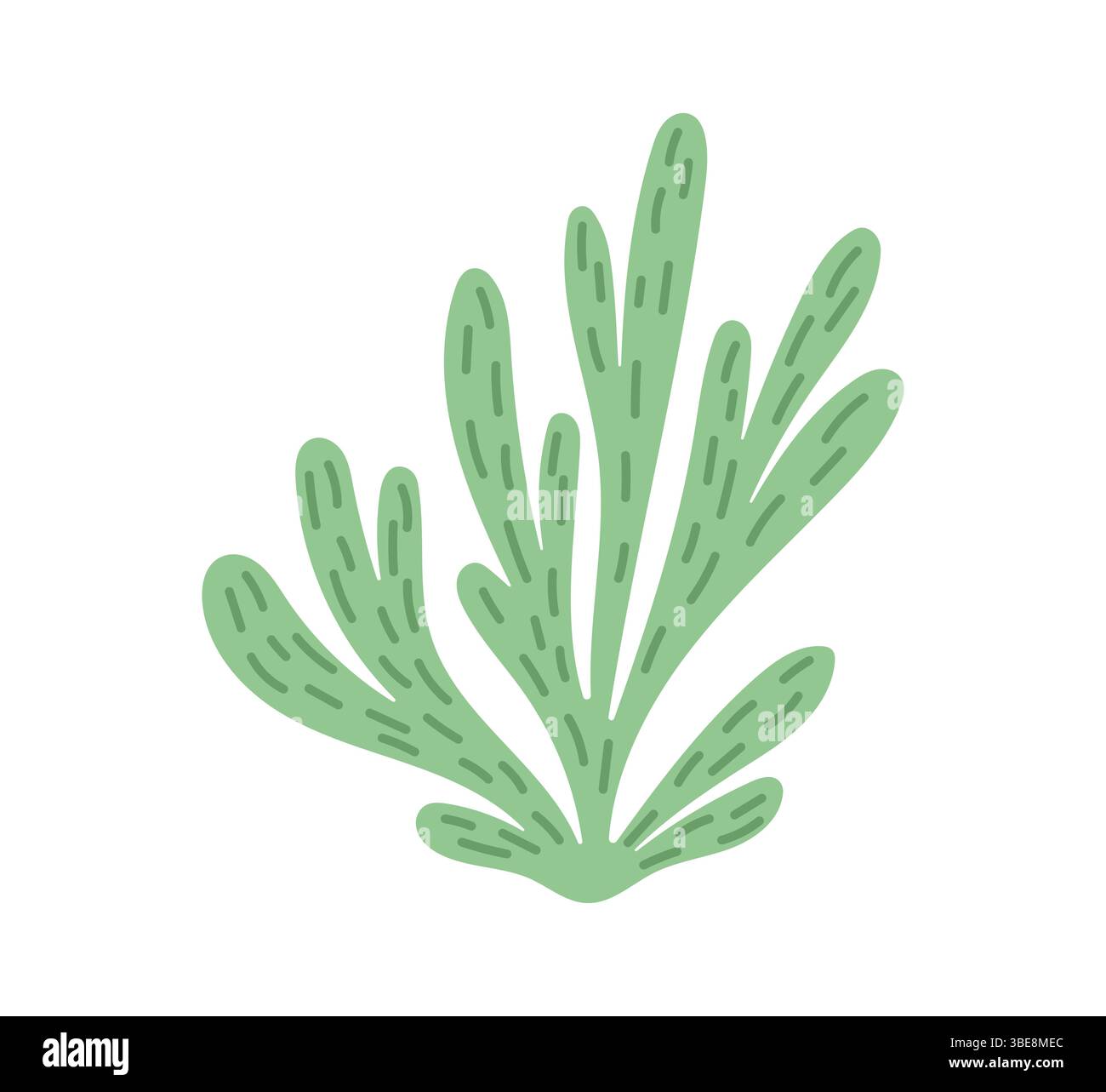 Cartoon underwater algae seaweed or sea coral reef kelp and, vector ...