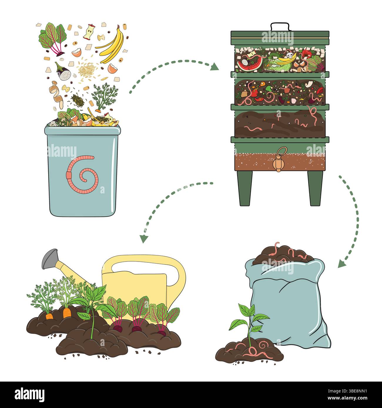 Schema of recycling organic waste from collecting kitchen scraps to use ...
