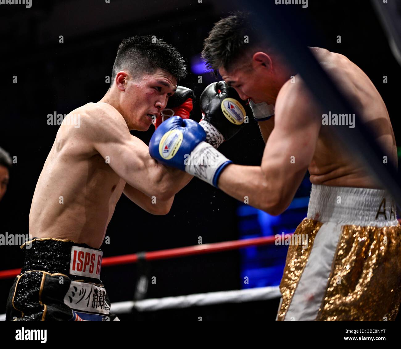 Champion Shu Utsuki (black gloves) of Japan and challenger Aketelieti Yelejian (blue gloves) of ...