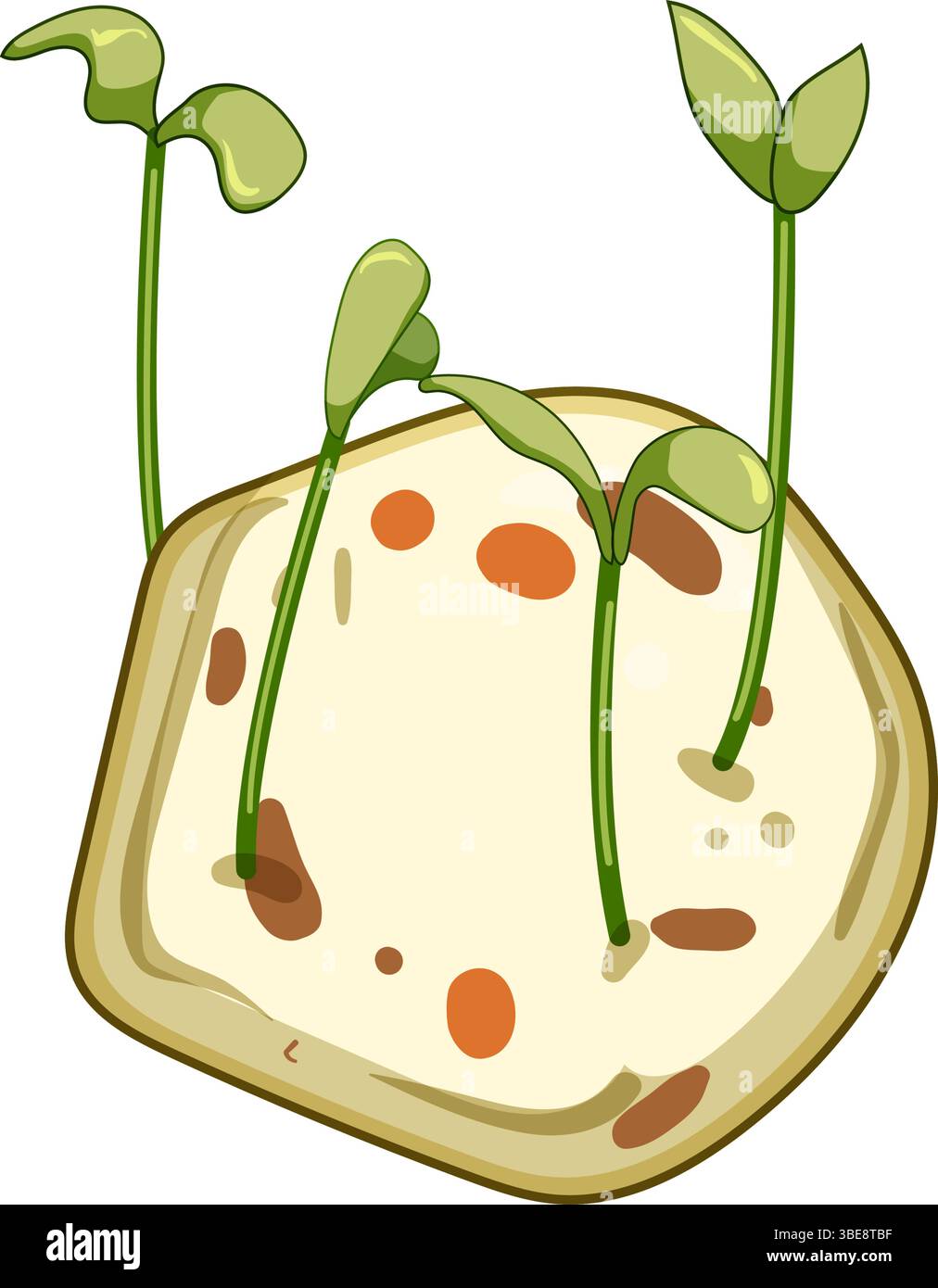 Pollinators habitat Cut Out Stock Images & Pictures - Alamy