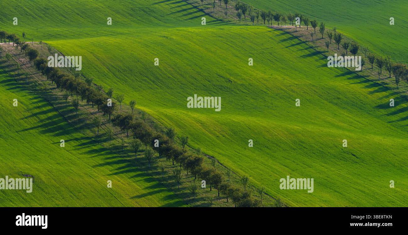 wavy landscape composed of green farmland interspersed with ecological ...