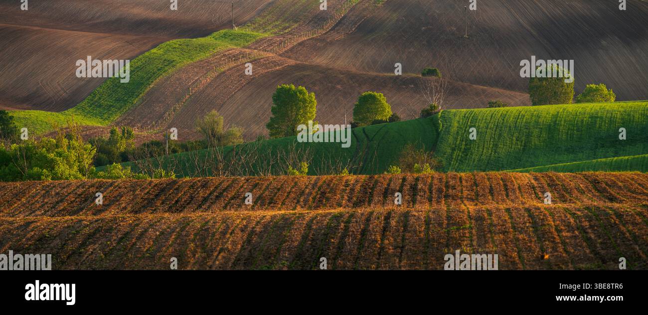 wavy landscape composed of green farmland interspersed with ecological ...