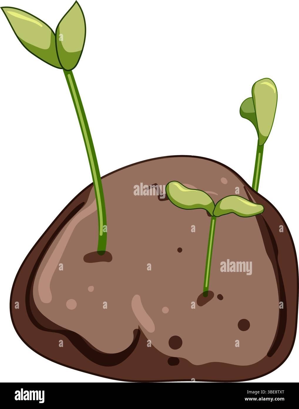 Pollinators habitat Cut Out Stock Images & Pictures - Alamy