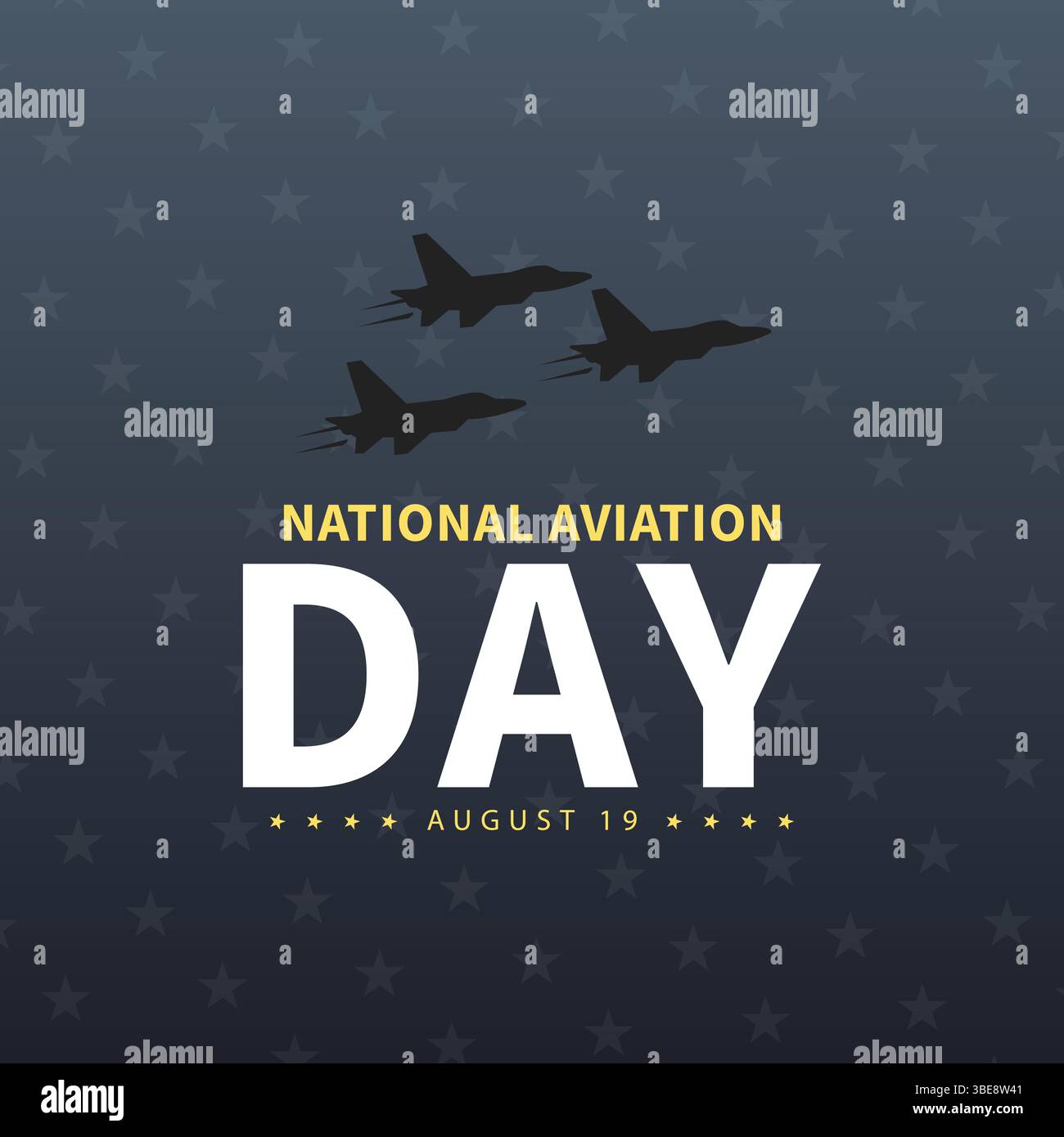 A Tribute to Flight Understanding the Importance of National Aviation ...
