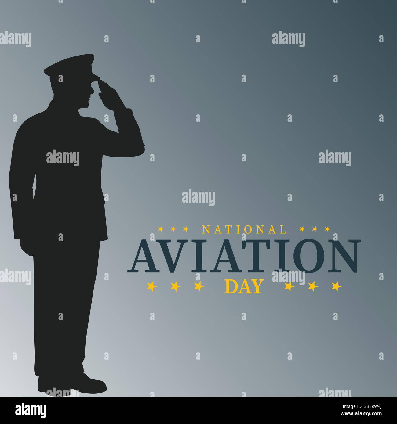 Celebrating National Aviation Day and the Wonders of Flight Stock ...
