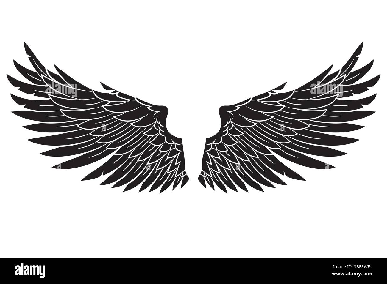 Two spread wings Stock Vector Image & Art - Alamy