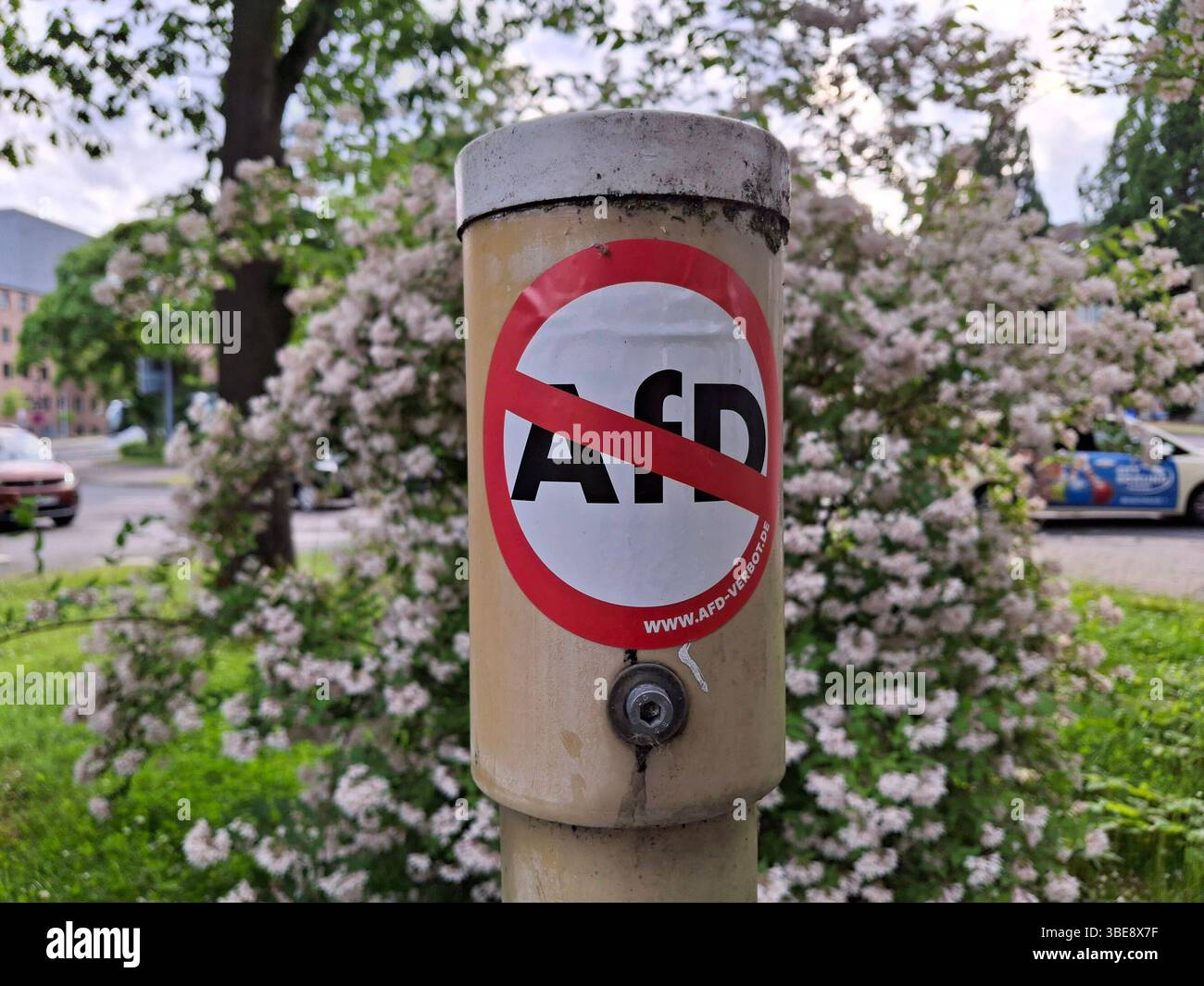 Stockbilder 05/2025 AFD Verbot Aufkleber Kassel Hessen Deutschland ...