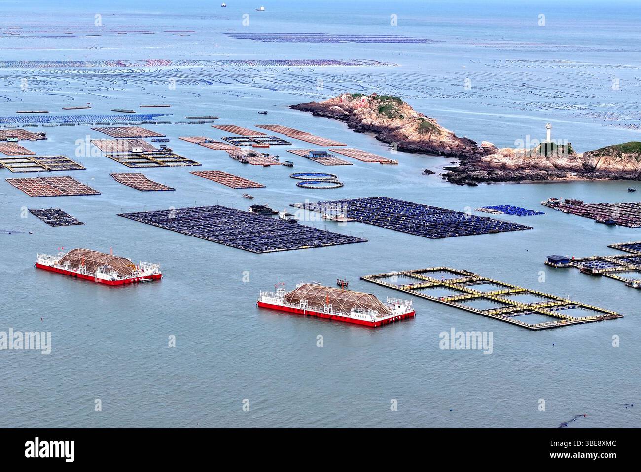 Fishermen are working on aquaculture boats in the Marine ranch of ...