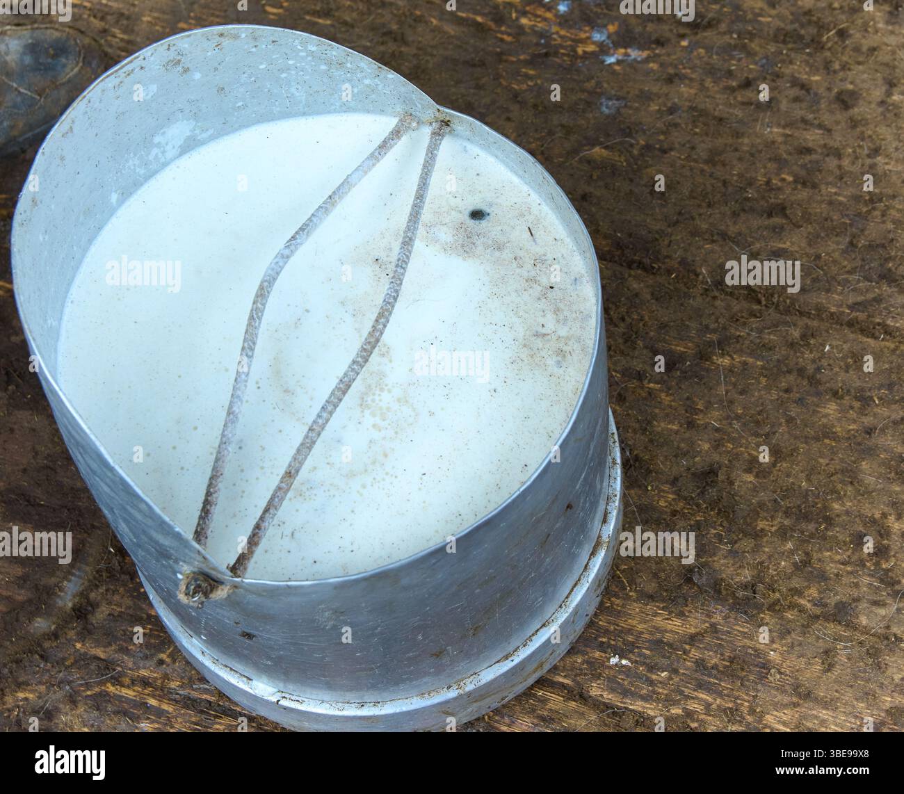 Traditional bucket with milk from the sheepfold in Romania Stock Photo ...