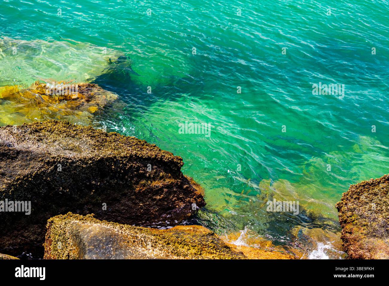 Rocks miami beach haulover hi-res stock photography and images - Alamy