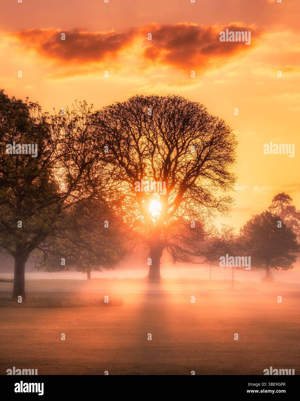 Darkness into light pieta hi-res stock photography and images - Alamy