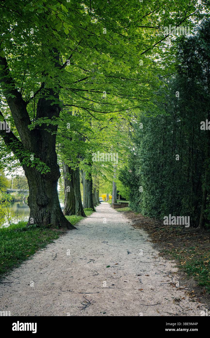A peaceful pathway meanders gracefully beside a shimmering river ...