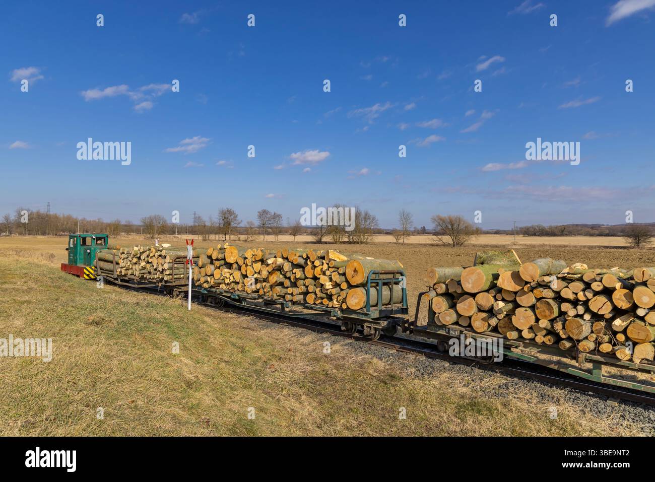 Narrow gauge railway locomotive pulling logging train cars loaded with ...