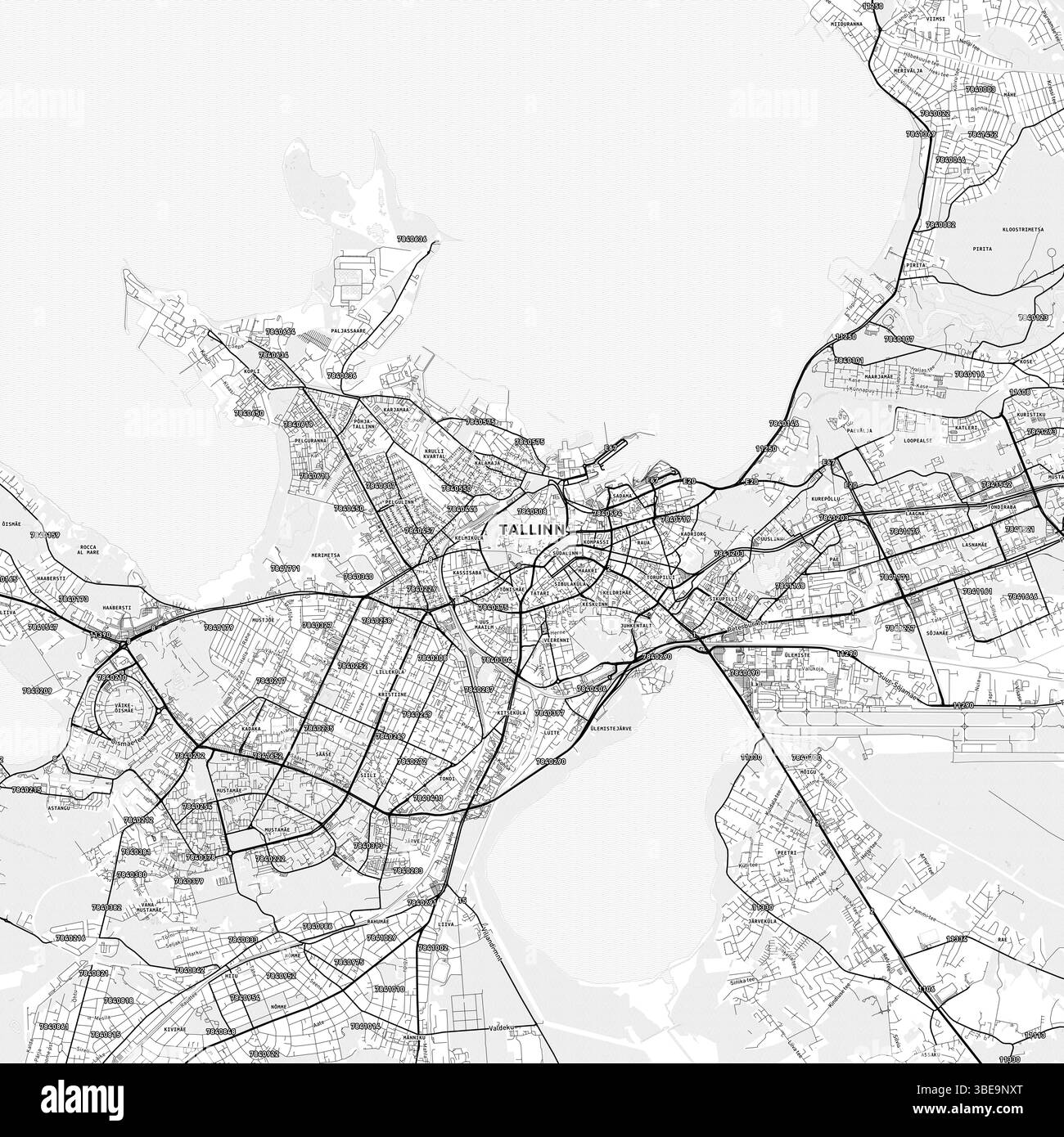 Minimalist Tallinn Area Map with Labels and Neighborhoods with many ...