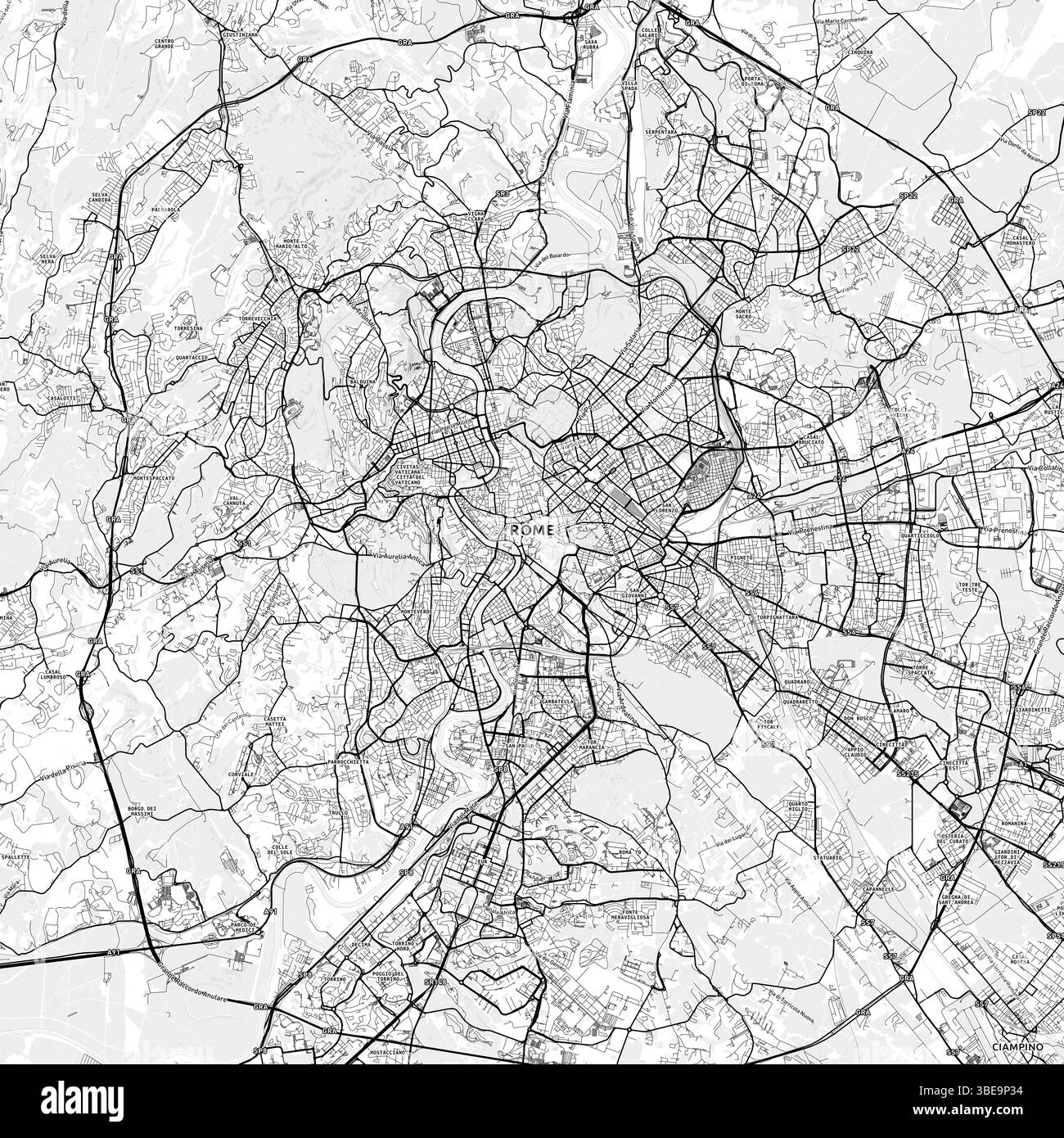Minimalist Rome Area Map with Labels and Neighborhoods with many ...