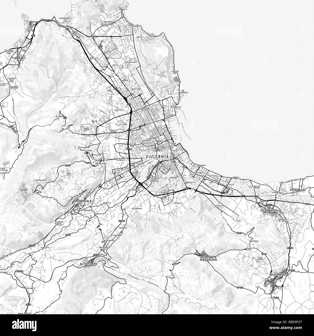 Minimalist Palermo Area Map with Labels and Neighborhoods with many ...