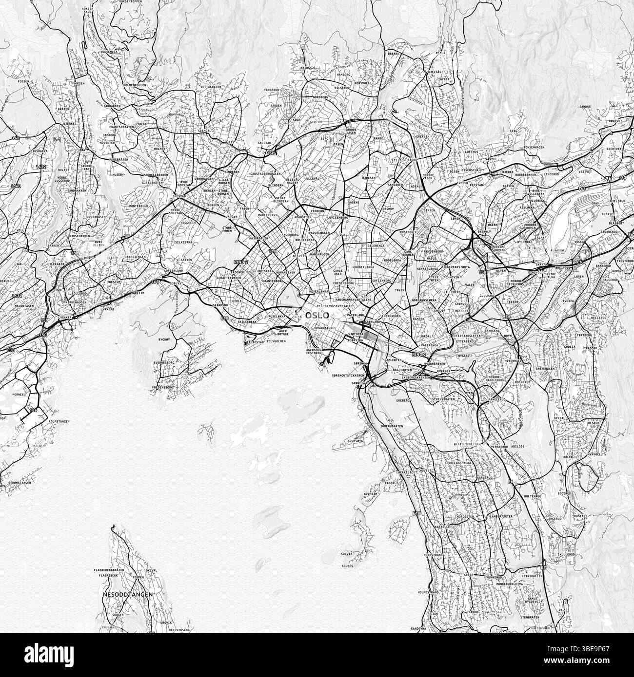 Minimalist Oslo Area Map with Labels and Neighborhoods with many ...