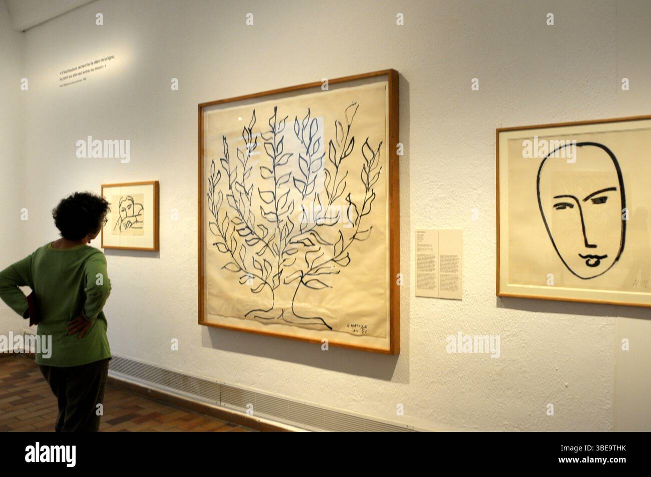Arte de henri matisse hi-res stock photography and images - Alamy
