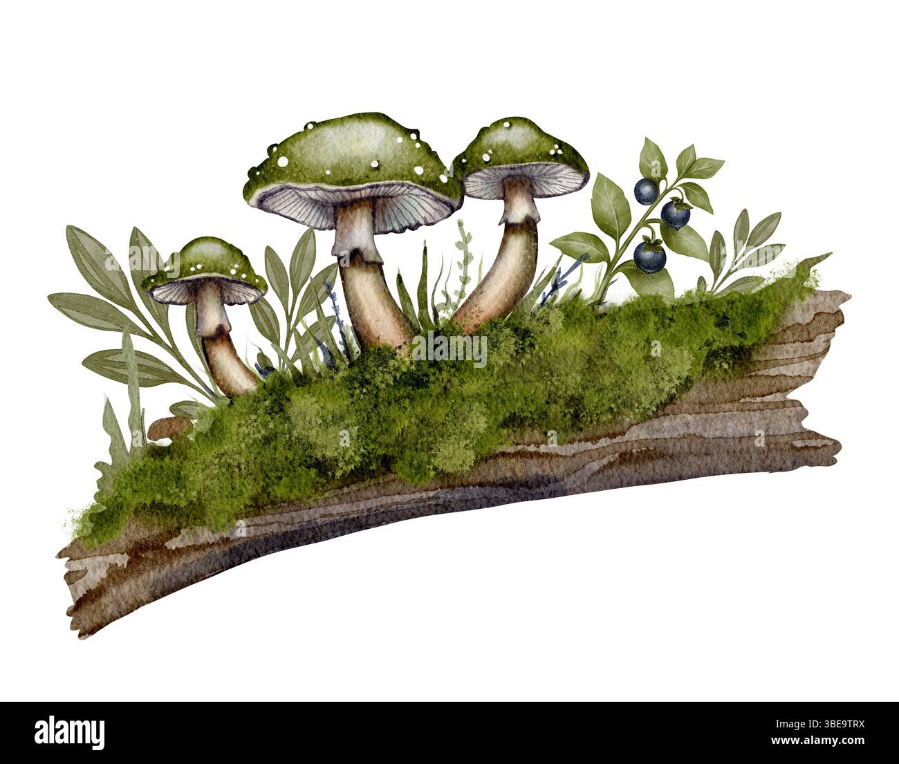 Green mushrooms growing on mossy tree bark with leaves and berries ...