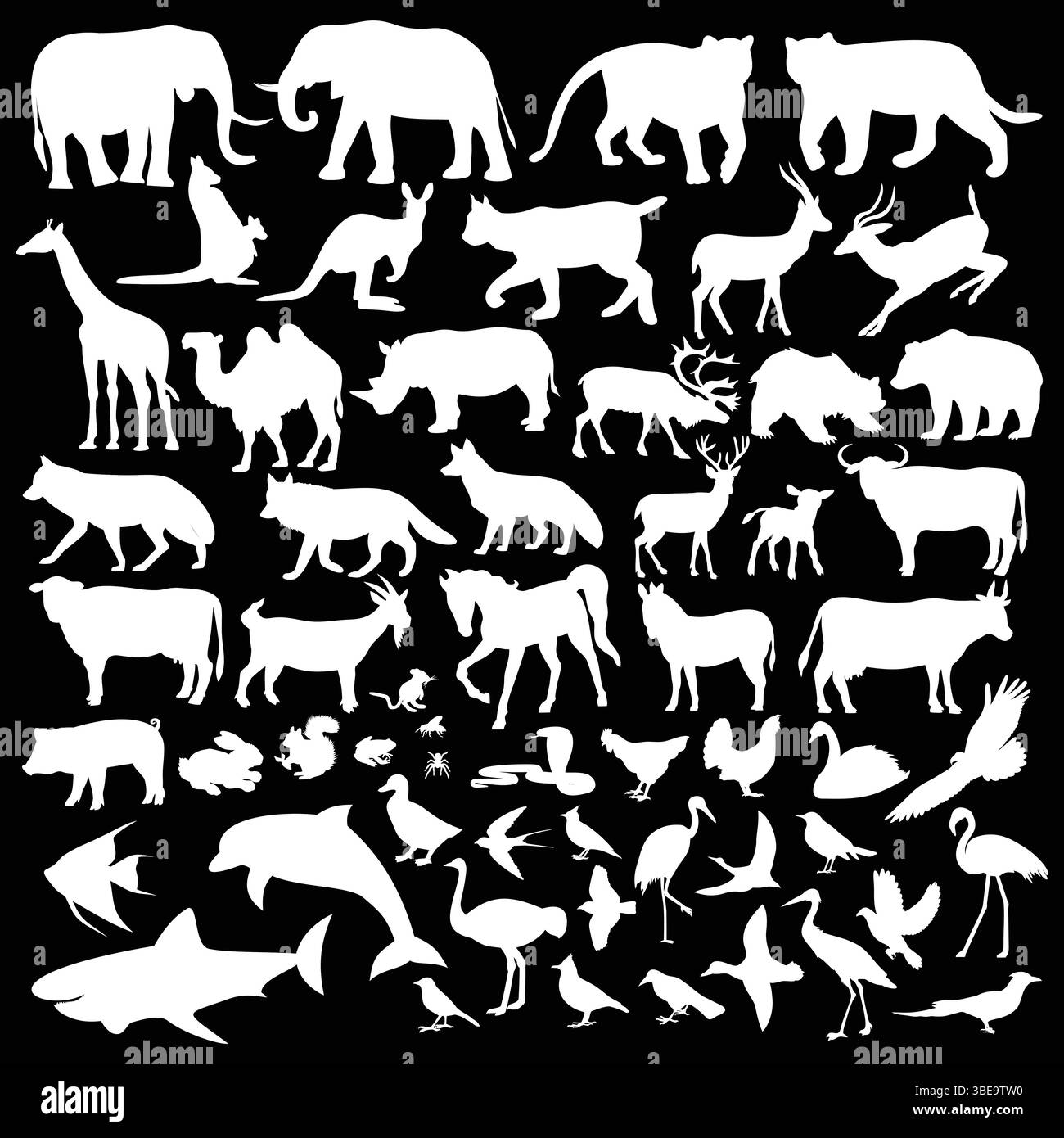 silhouette of jungle animal , silhouette of animal Stock Vector Image ...