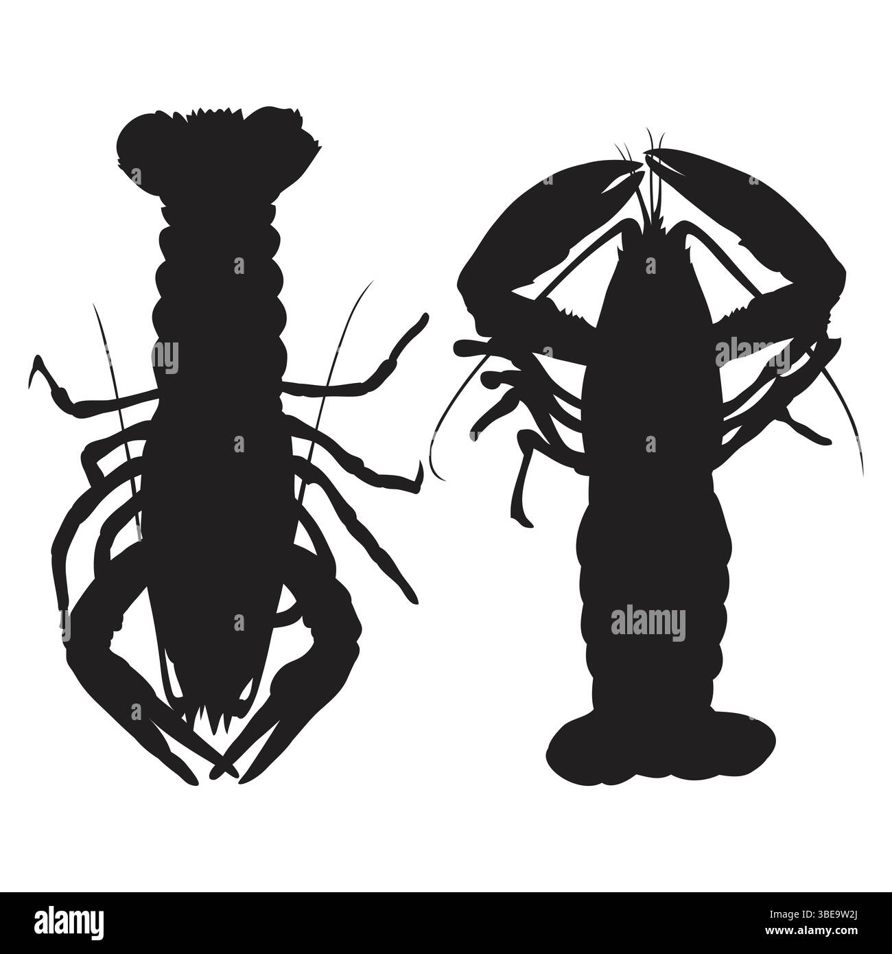 Web silhouette vector vectors hi-res stock photography and images - Alamy
