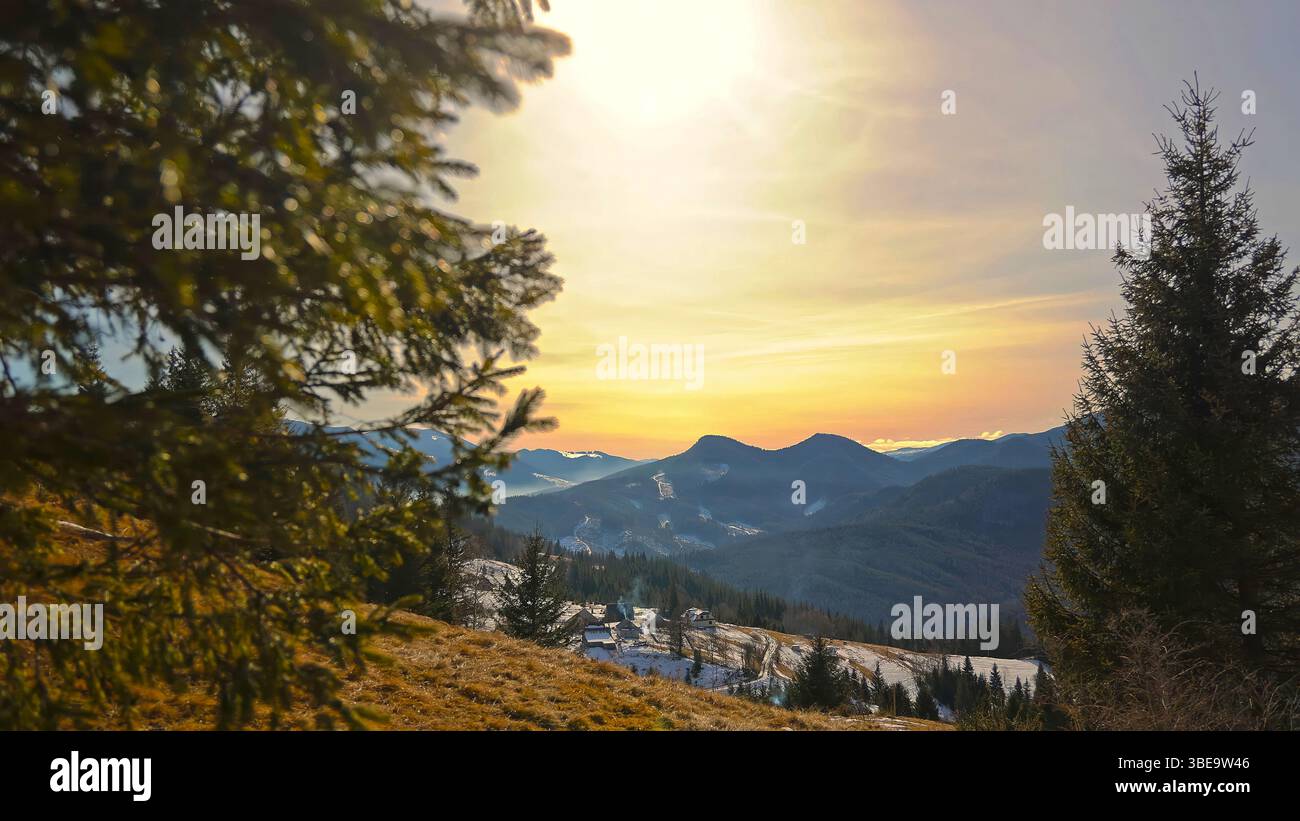 View village pine trees hi-res stock photography and images - Alamy