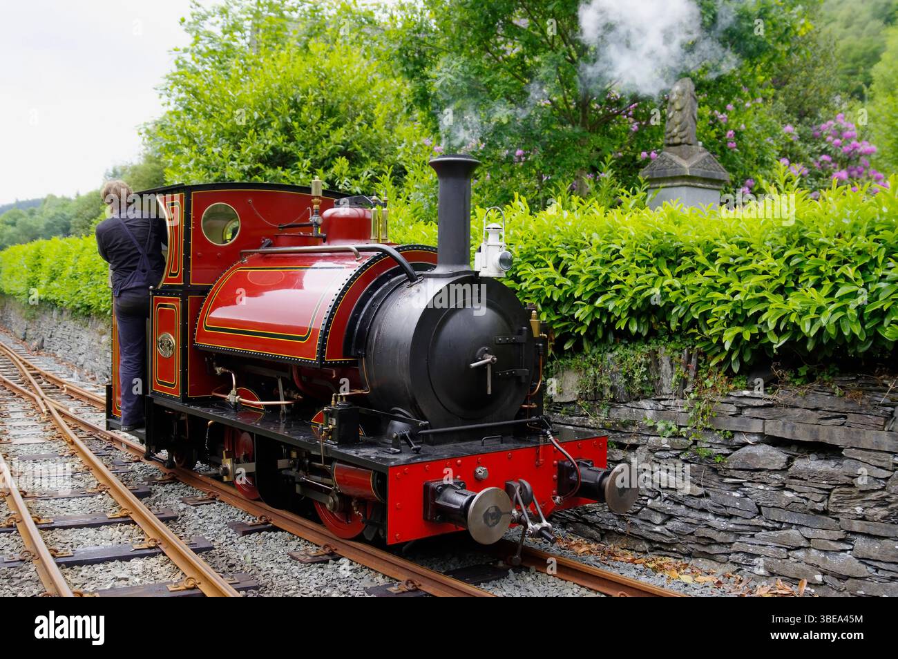 Falcon, Locomotive, No 10, Corris, Narrow Gauge, Steam Locomotive Stock Photo - Alamy