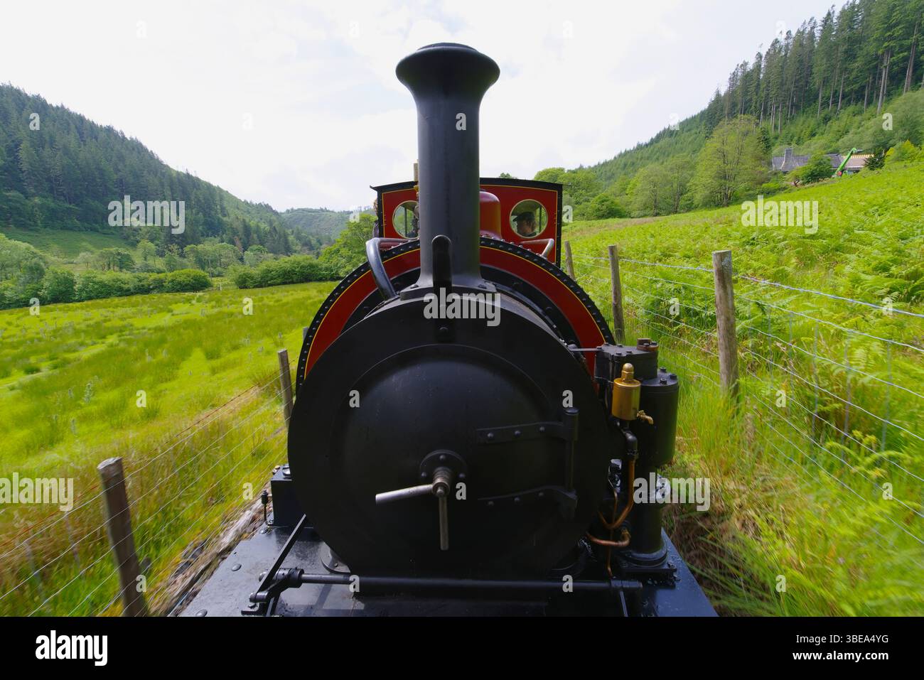 Falcon, Locomotive, No 10, Corris, Narrow Gauge, Steam Locomotive Stock ...