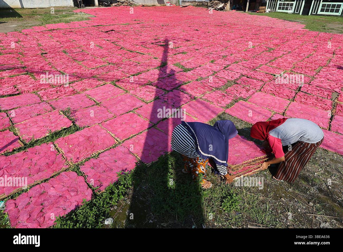 (250528) -- BOGOR, May 28, 2025 (Xinhua) -- Workers arrange traditional ...