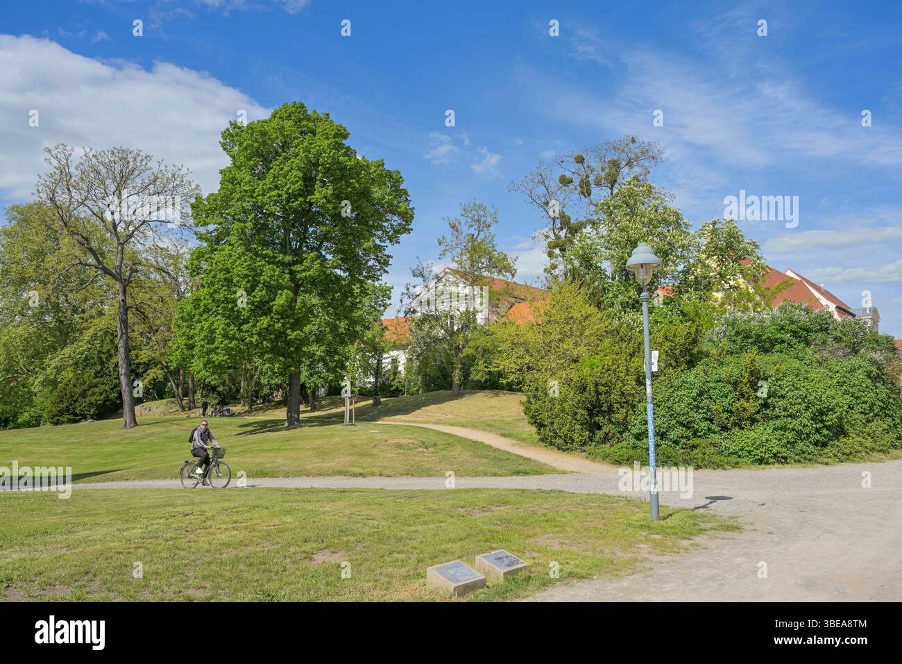 Schloßgarten, Zerbst, Landkreis Anhalt-Bitterfeld, Sachsen-Anhalt ...