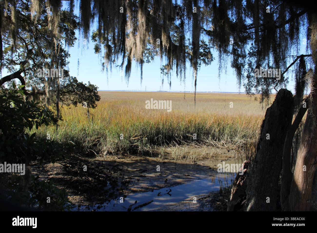 Jekyll Marsh View 4 Stock Photo - Alamy