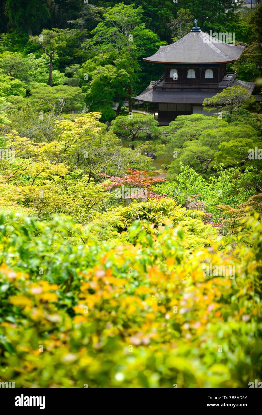 Ginkaku-ji temple or Silver Pavilion in Kyoto, Japan Stock Photo - Alamy