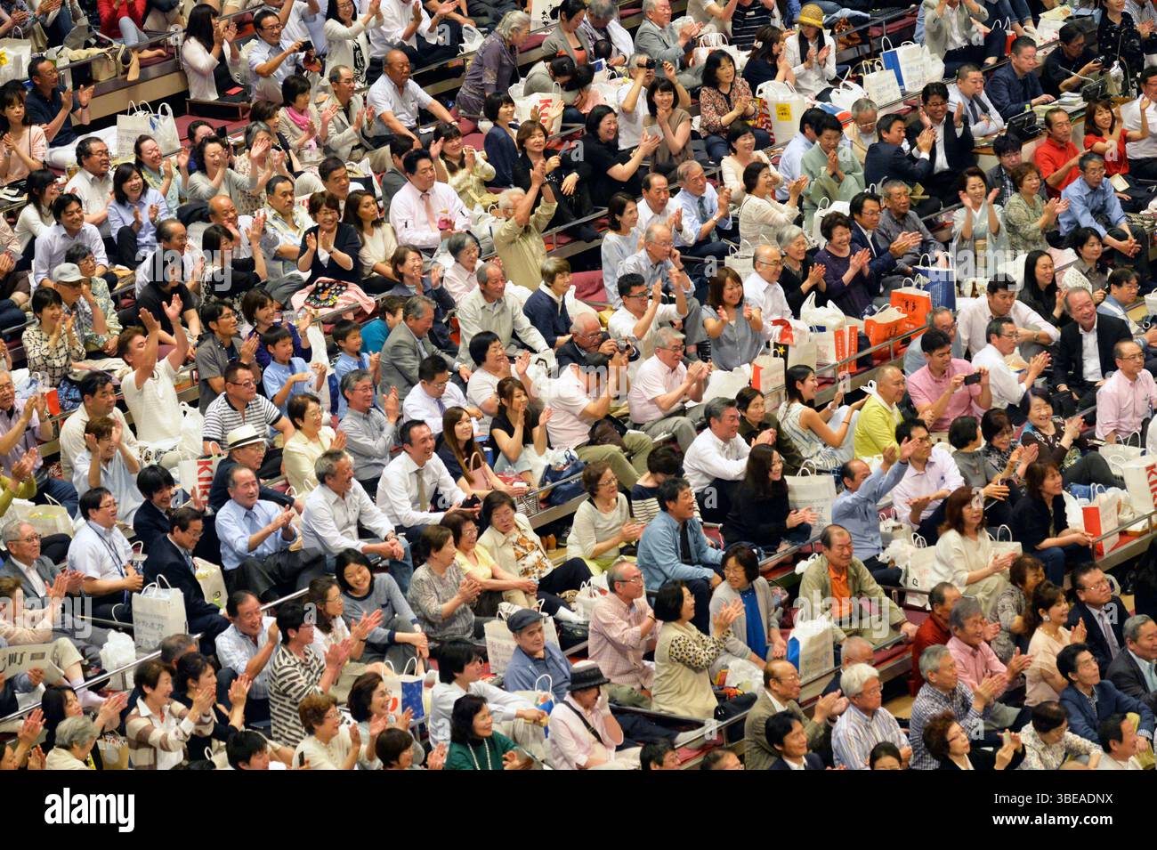 Spectators during sumo wrestling in Tokyo, Japan Stock Photo - Alamy