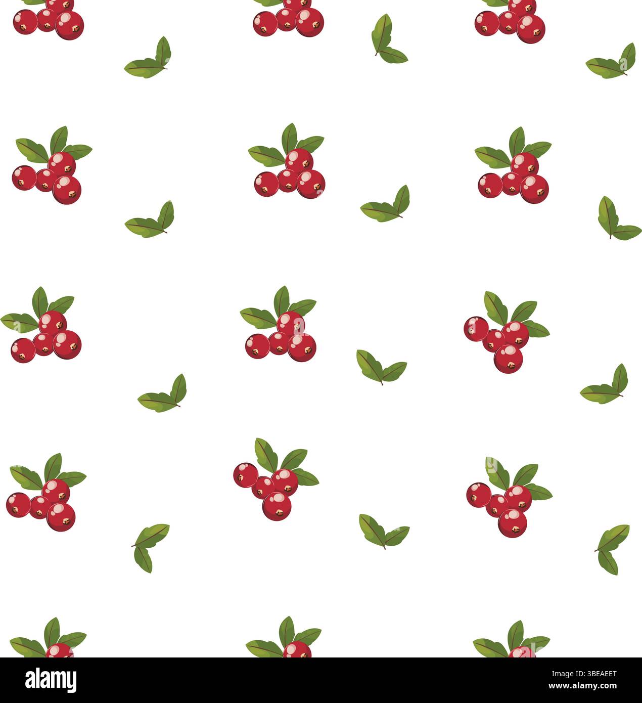 Cranberries on white Stock Vector Images - Alamy
