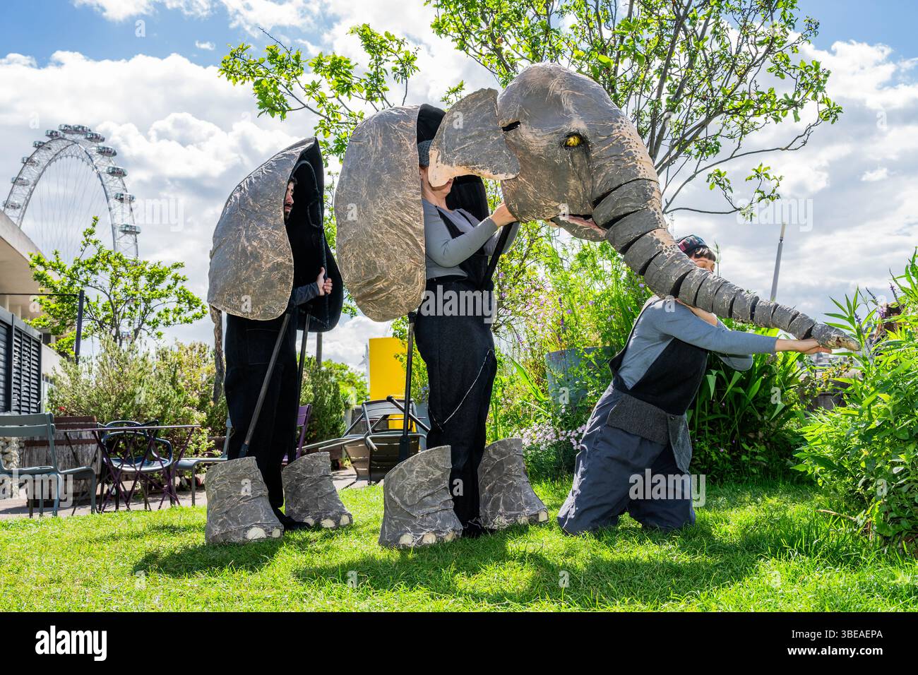 London, UK. 28 May 2025. Elephant Janu, the teenage elephant, with ...