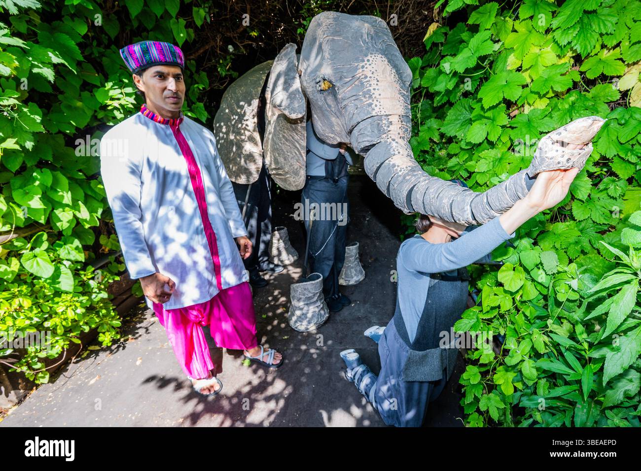London, UK. 28th May, 2025. Elephant Janu, the teenage elephant, with ...