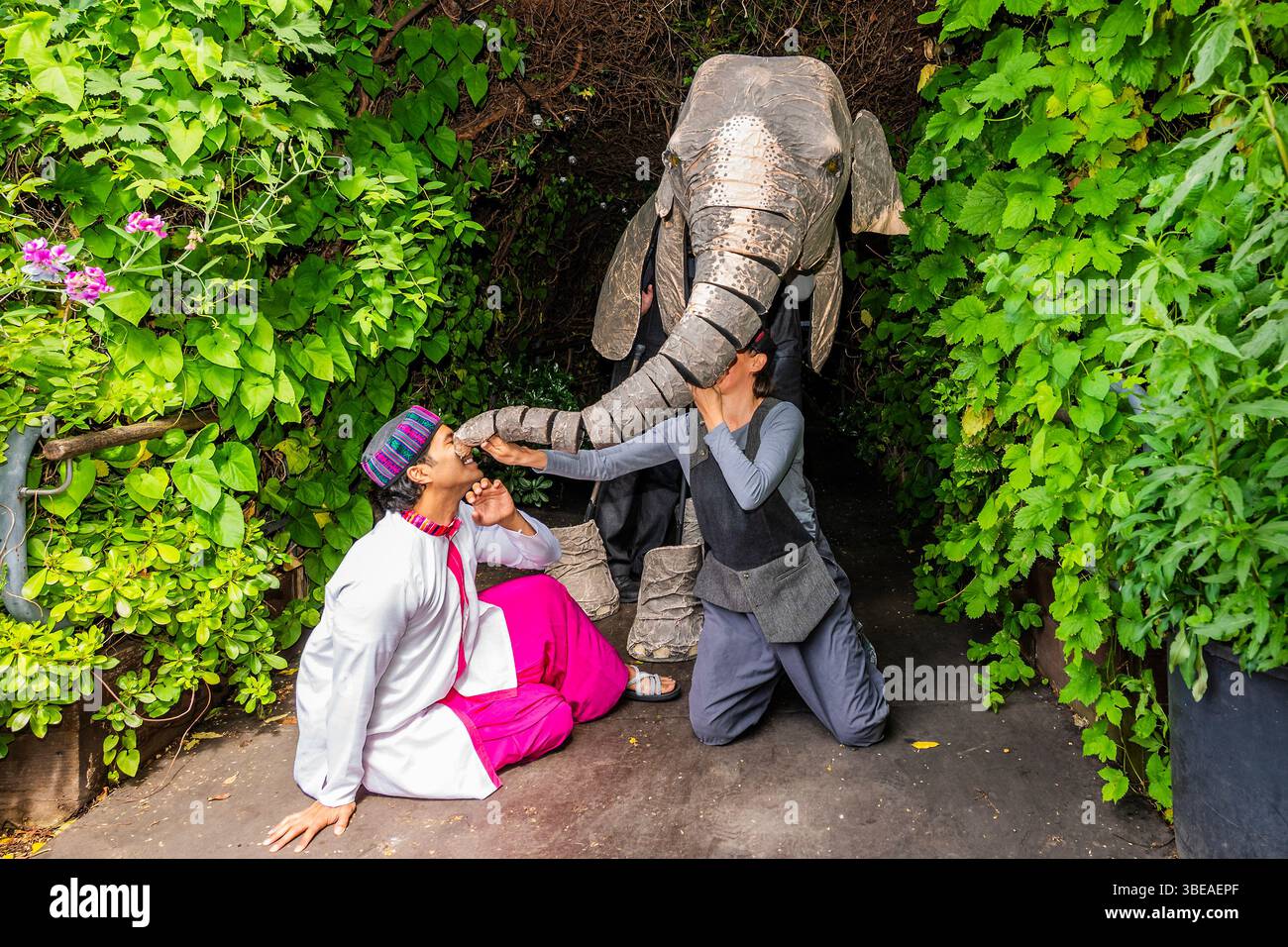 London, UK. 28 May 2025. Elephant Janu, the teenage elephant, with ...