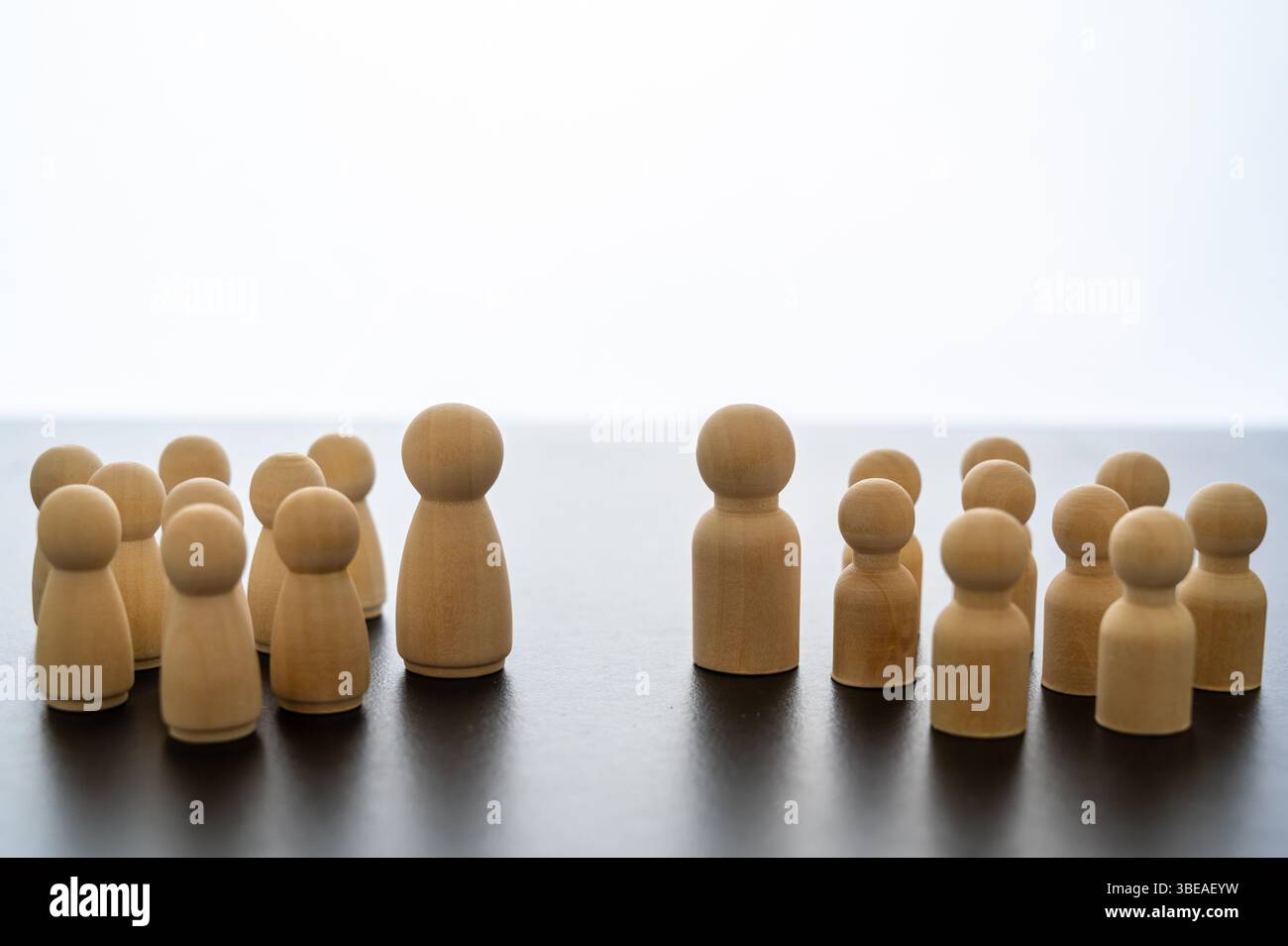 Conceptual representation, with wooden pawns, of gender differentiation ...