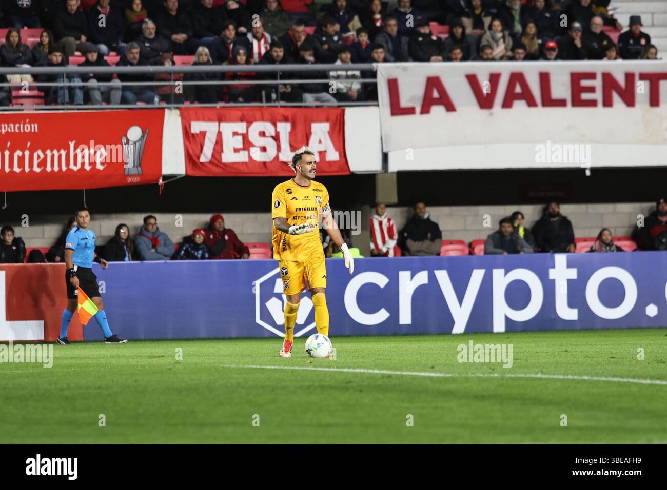 Argentina. 27.05.2025: Team of Estudiantes during the match for round ...