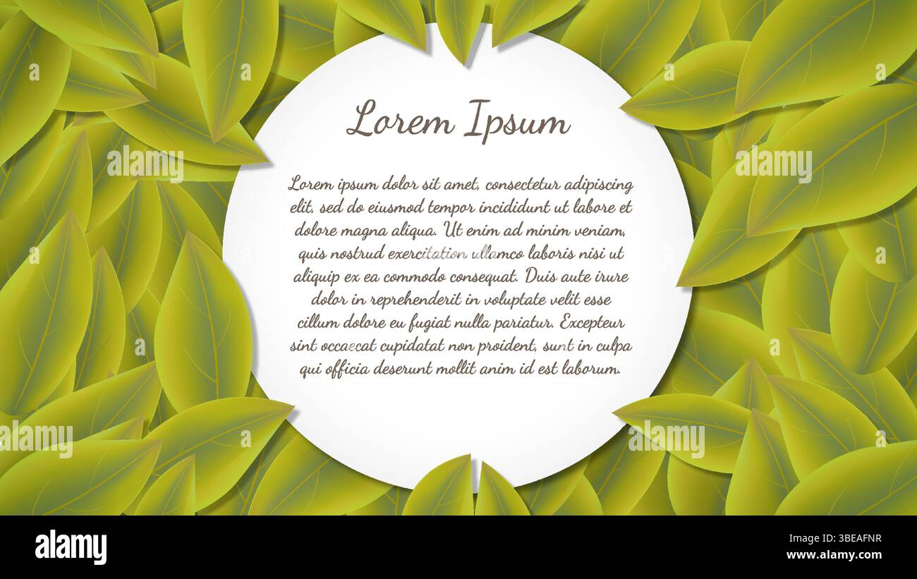 Blank text area vector vectors hi-res stock photography and images - Alamy