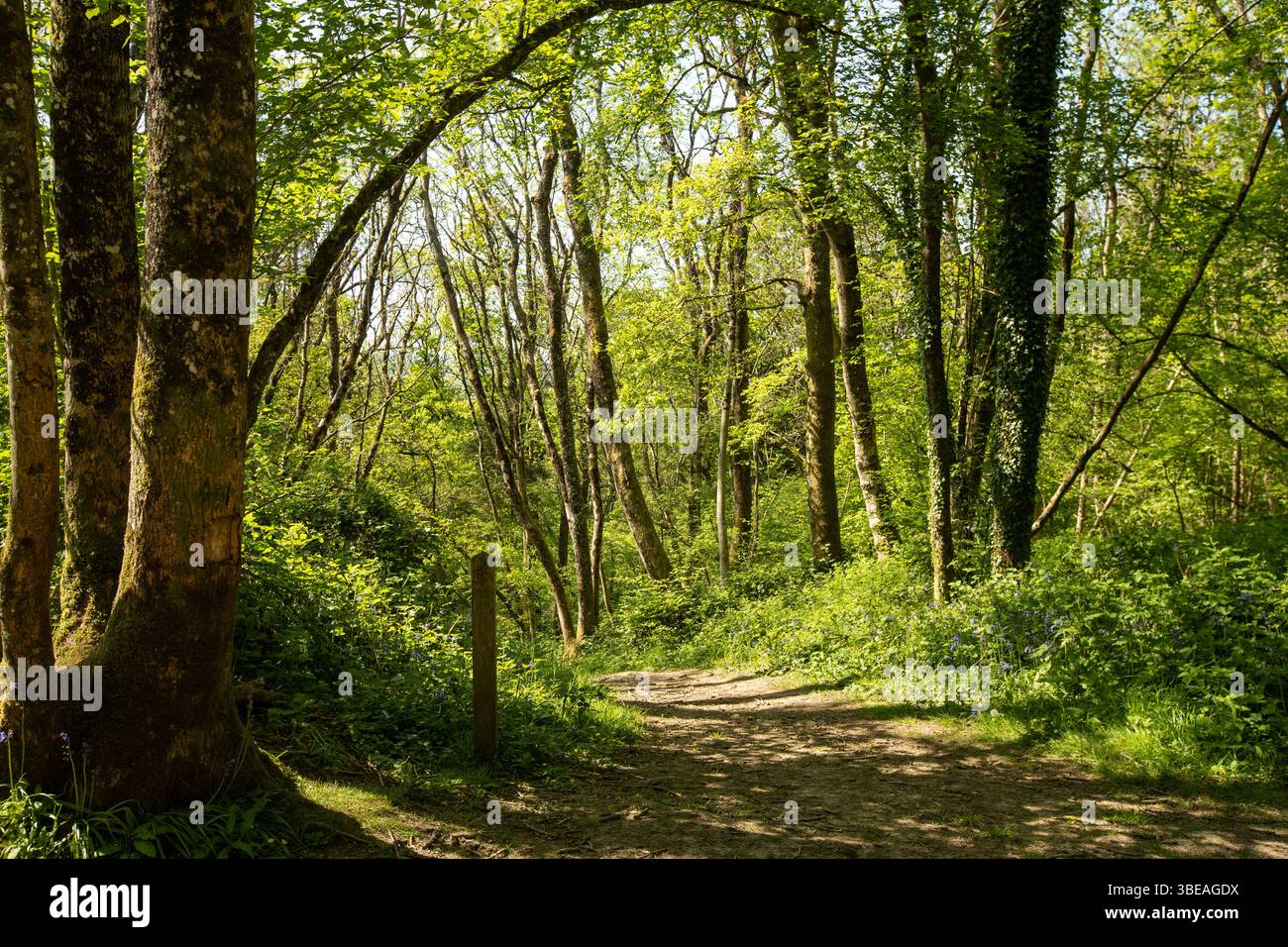 Meandering walks hi-res stock photography and images - Alamy