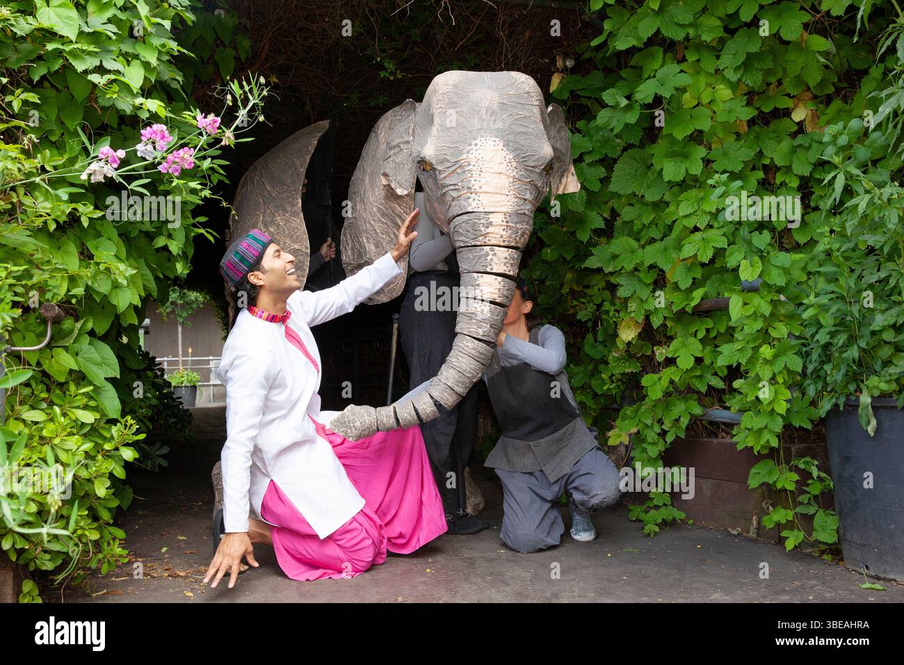 London, UK. 28th May, 2025. Janu, a puppet of a teenage elephant, took ...